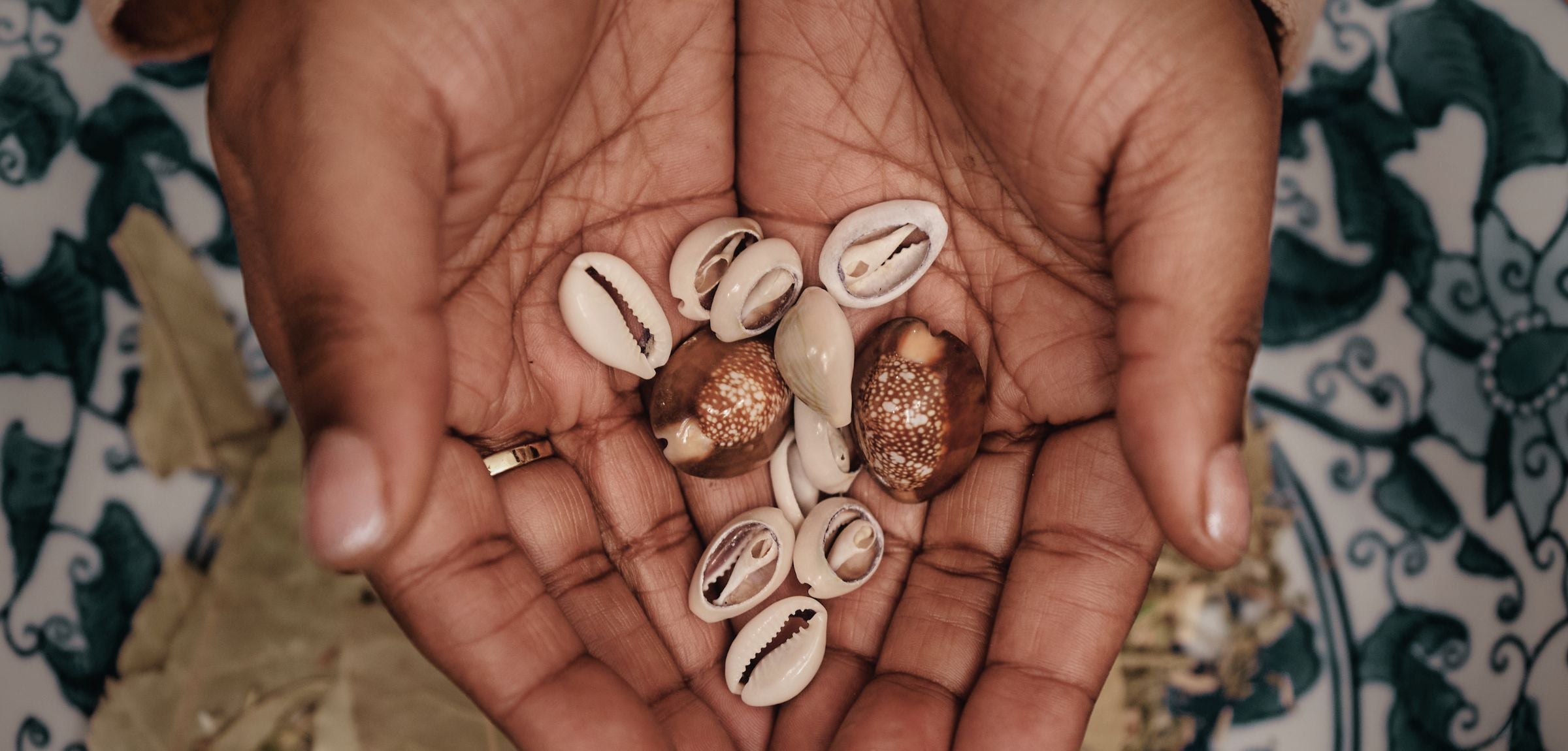 Cowrie Shells: History & Meaning – GEMNIA