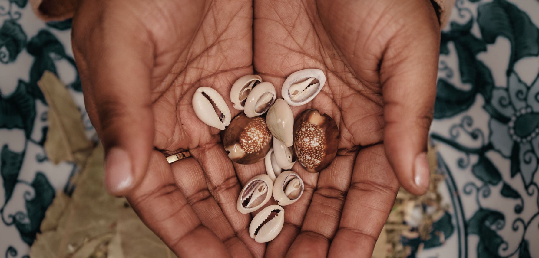 Cowrie Shells: History & Meaning – GEMNIA