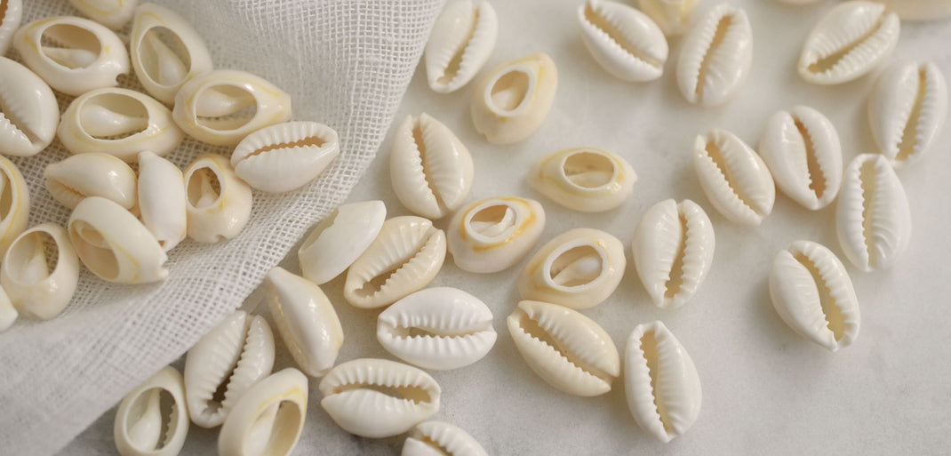 Cowrie Shells: History & Meaning – GEMNIA