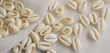 Cowrie Shells: History & Meaning – GEMNIA